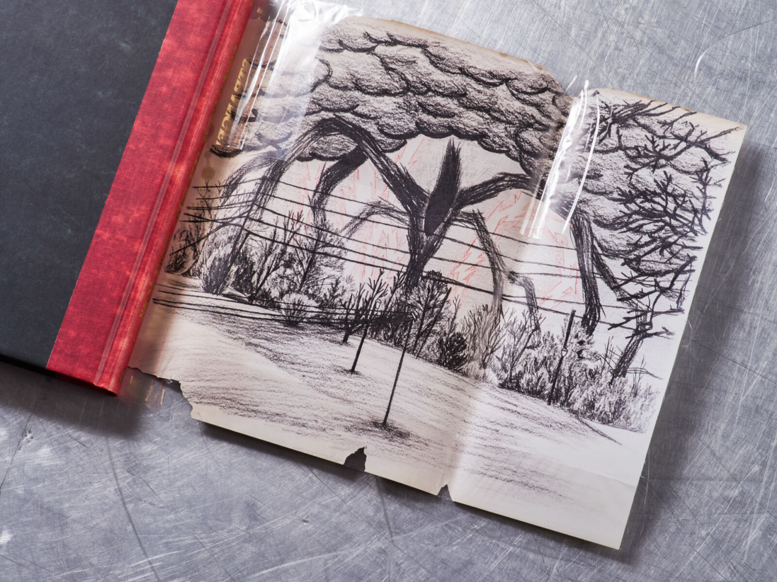 Stranger Things: Worlds Turned Upside Down – Future of StoryTelling