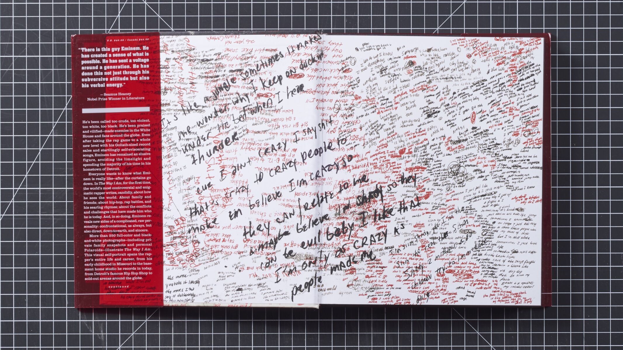Eminem: The Way I Am – Future of StoryTelling